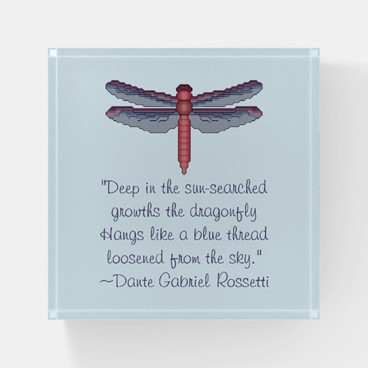 Dragonfly Totem & Symbolism – The Spirit of Transformation ...