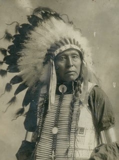 Hawk Totem & Symbolism – The Spirit of Foresight – AnimalTotem.com