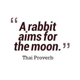 Rabbit Totem & Symbolism – The Spirit of Abundance – AnimalTotem.com