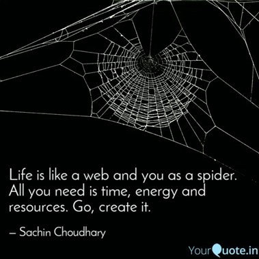 Spider Animal Totem & Symbolism – The Spirit of Creation – AnimalTotem.com