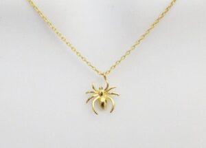 Spider Animal Totem & Symbolism – The Spirit of Creation – AnimalTotem.com