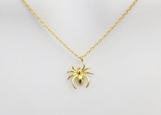 Spider Animal Totem & Symbolism – The Spirit of Creation – AnimalTotem.com